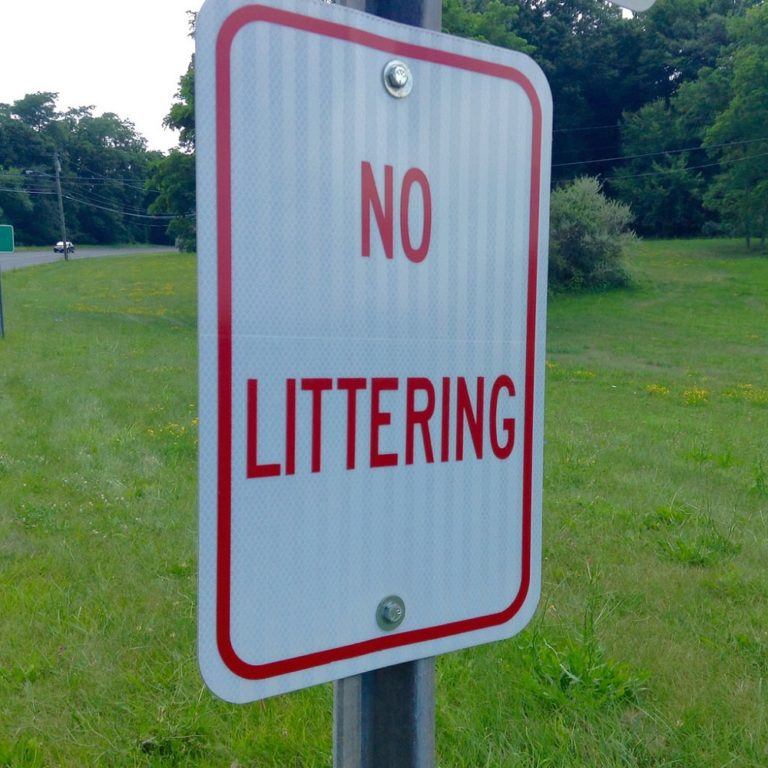 Governments Should Enforce Anti-Littering Laws - Action for Renewables