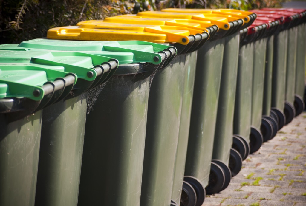 Dumping Rubbish? Choose the Right Bin | Action for Renewables